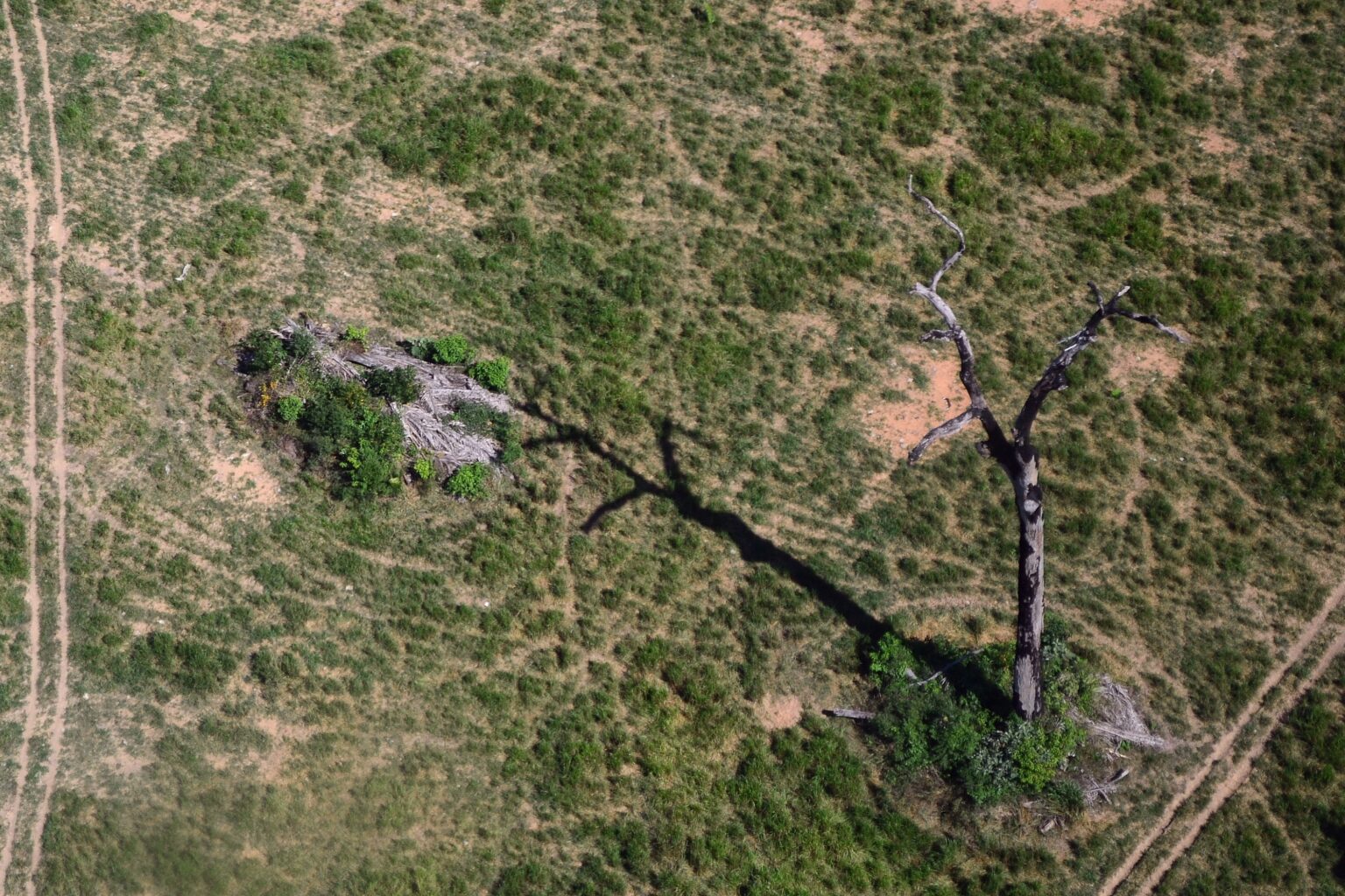 Observatório do ClimaOC | Climate Observatory - Official website of the ...